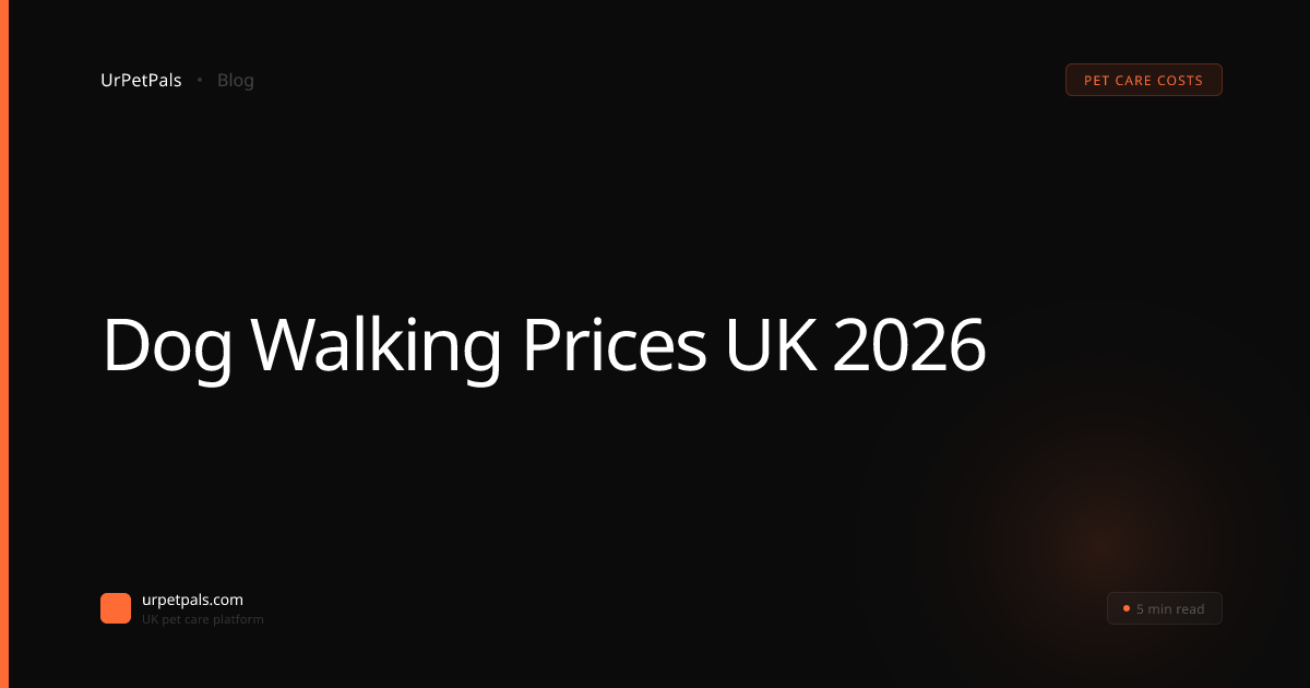 Dog Walking Prices UK 2026 — What You'll Actually Pay | UrPetPals ...